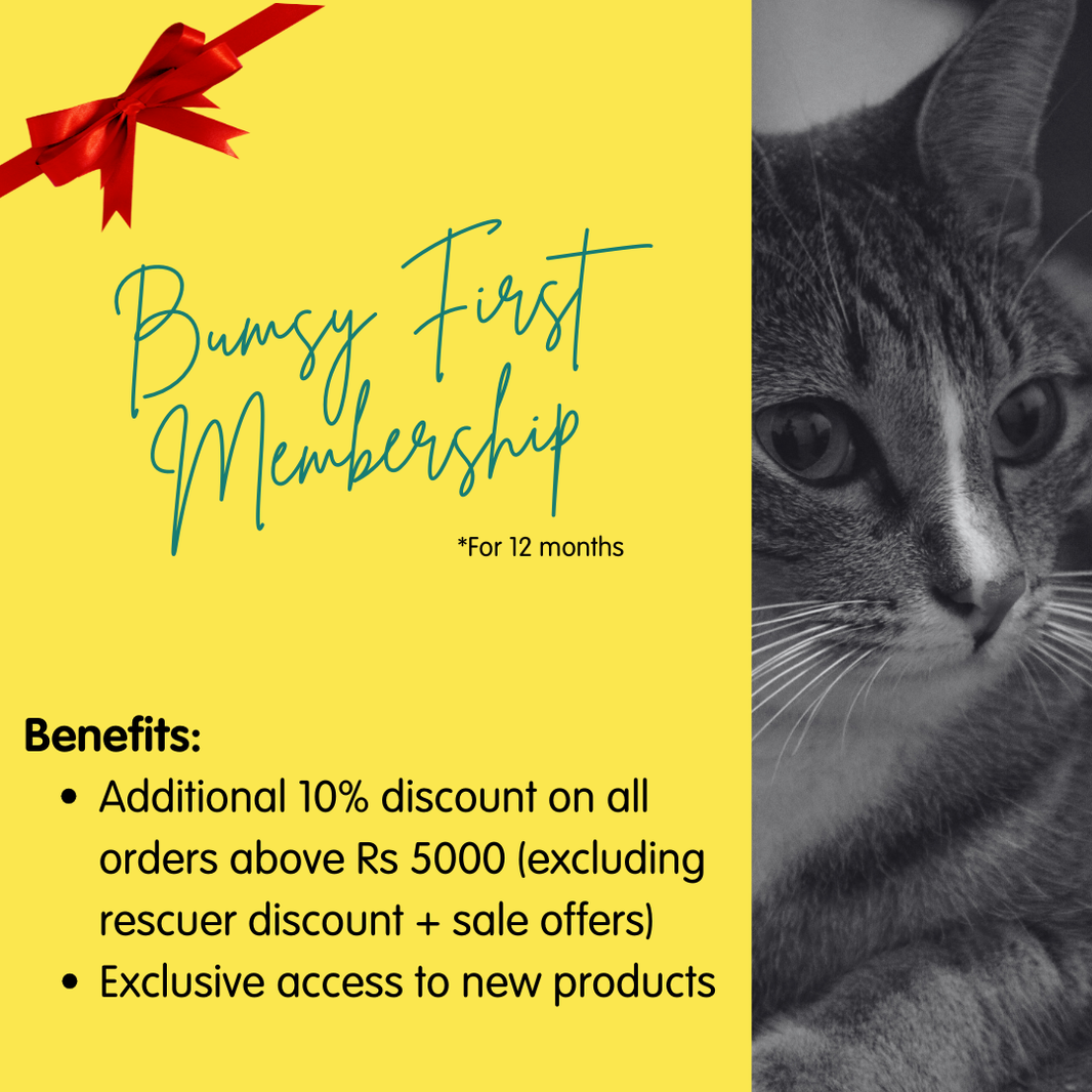 Shop All – Clumsy Bumsy