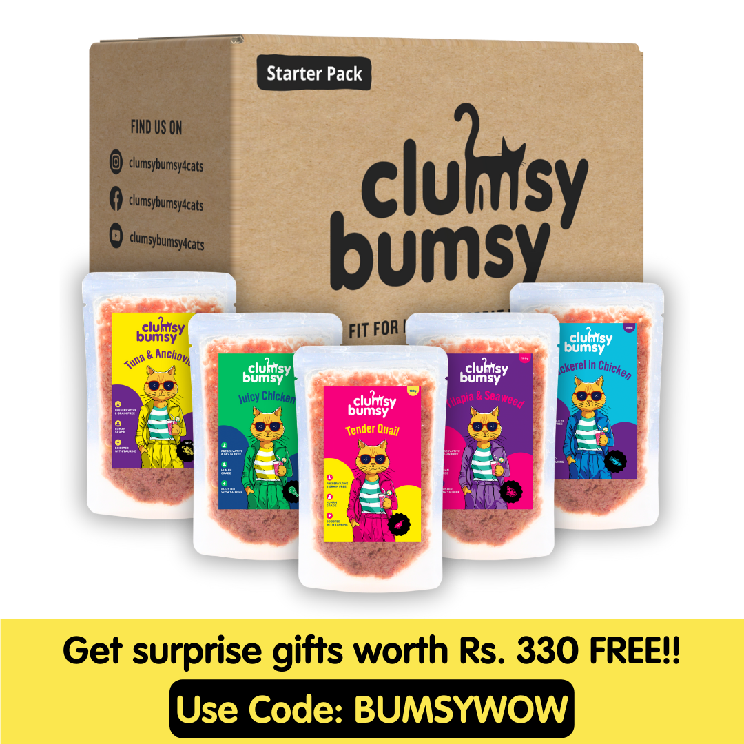 Starter Pack for Cats – Clumsy Bumsy